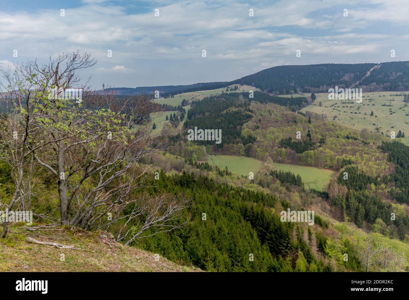 Hiking in different places through the Thuringian Forest - Thüringer ...