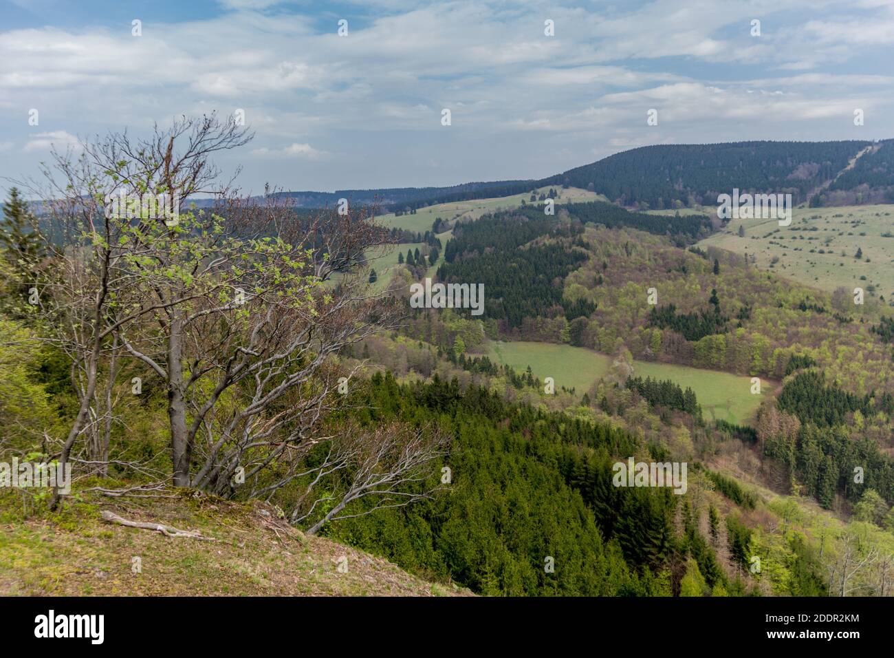 Hiking in different places through the Thuringian Forest - Thüringer ...