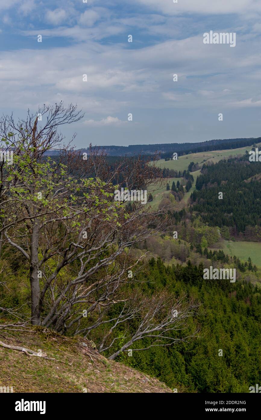 Hiking in different places through the Thuringian Forest - Thüringer ...