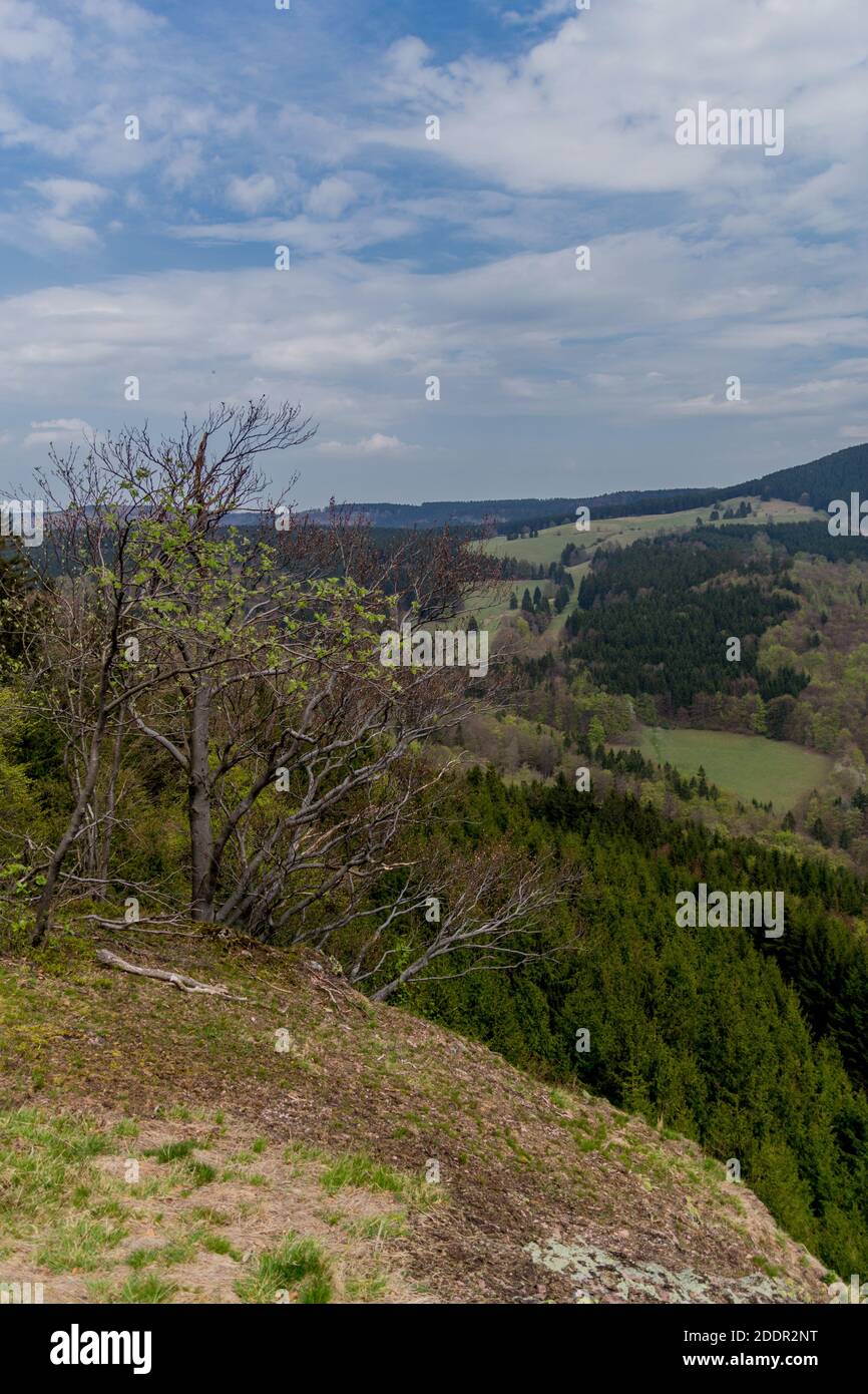 Hiking in different places through the Thuringian Forest - Thüringer ...