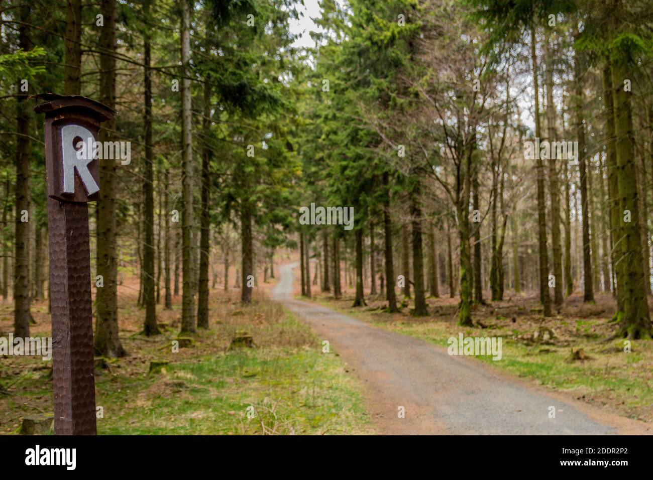 Hiking in different places through the Thuringian Forest - Thüringer ...