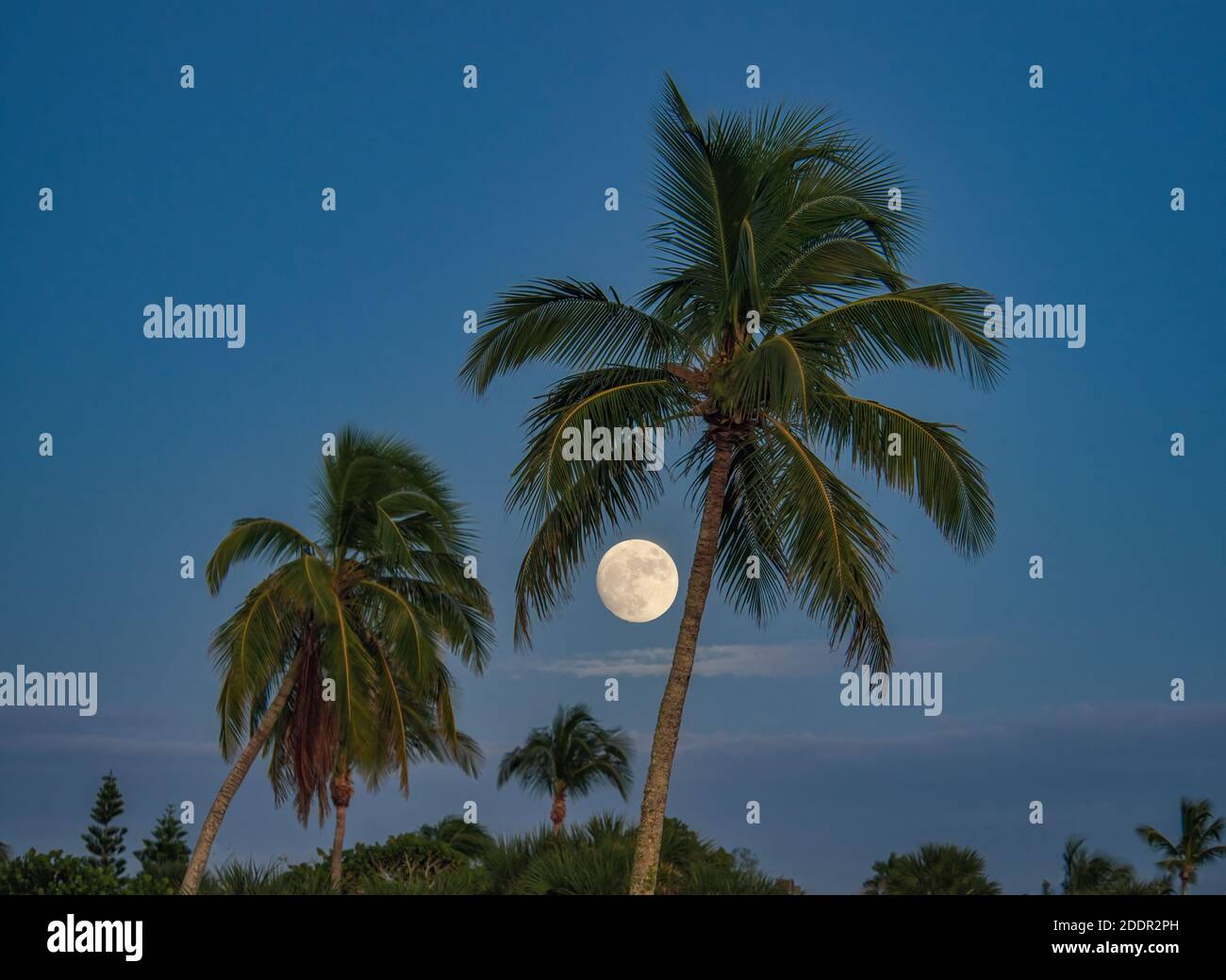 Big blue moon hi-res stock photography and images - Alamy