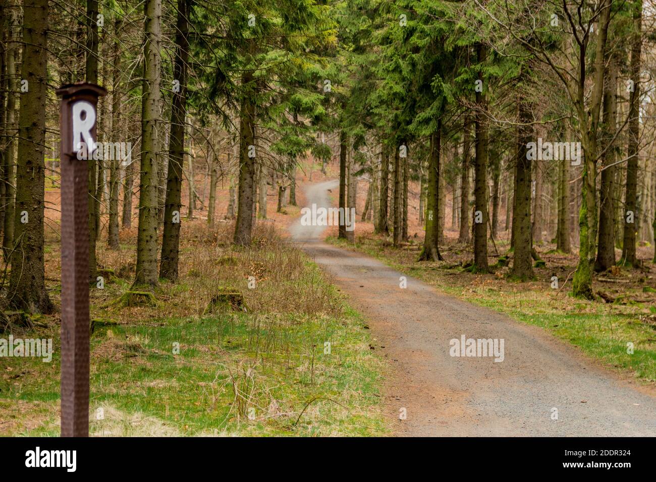 Hiking in different places through the Thuringian Forest - Thüringer ...