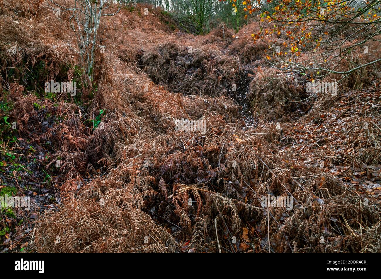 Trench access hi-res stock photography and images - Alamy