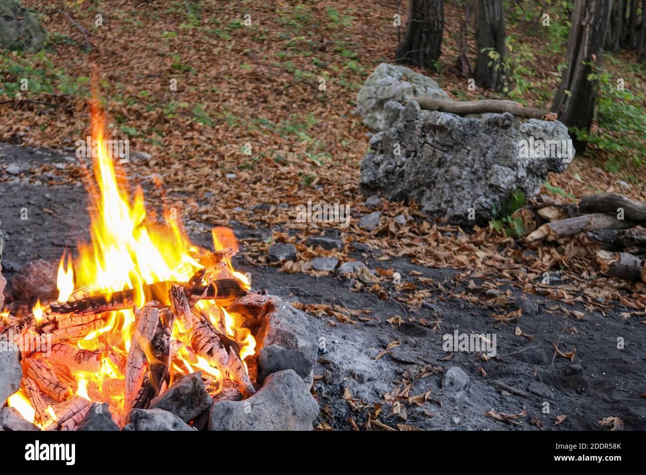 Bonfire in the forest with falling leaves with rocks in the background ...