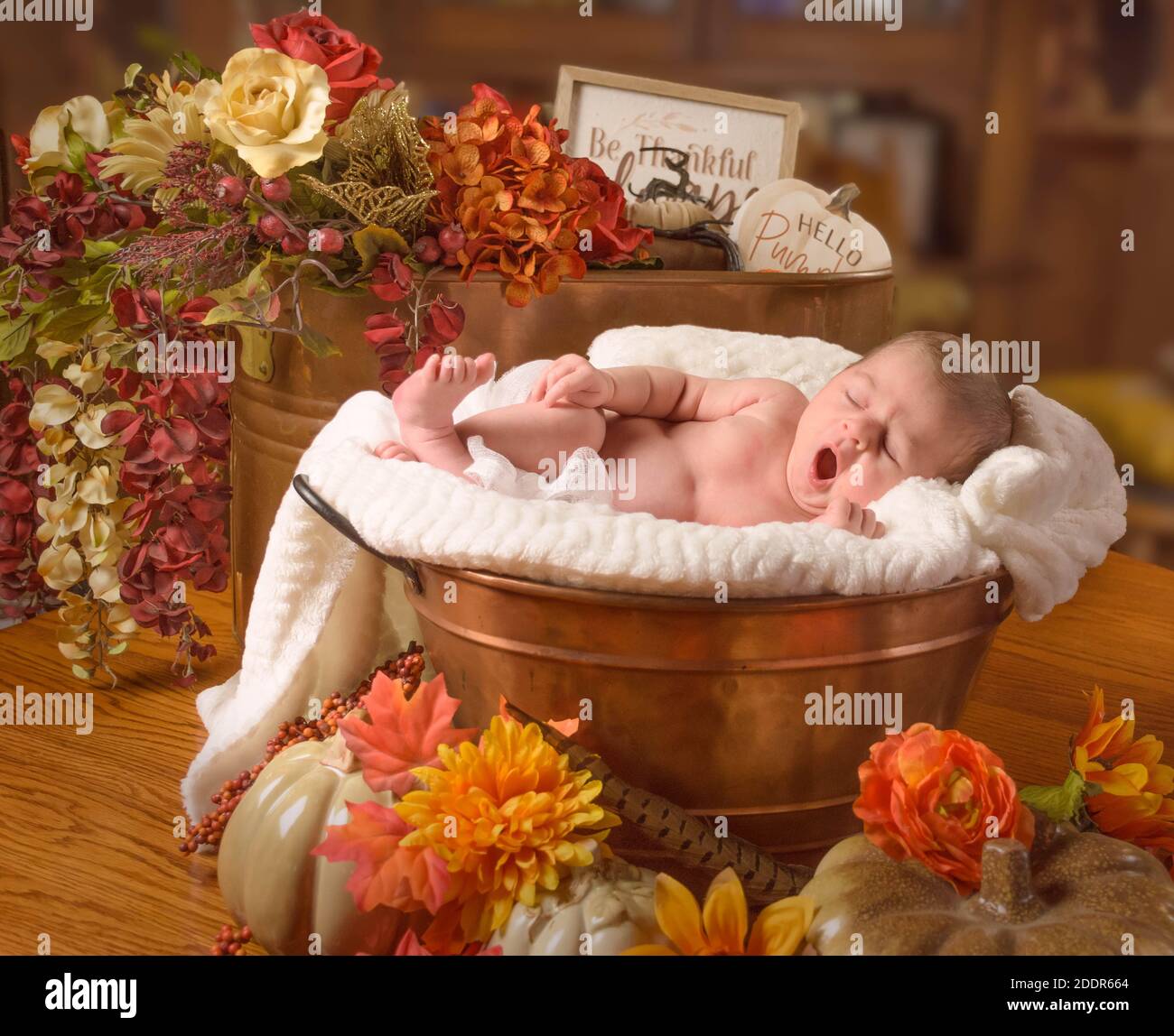 Baby flowers hi-res stock photography and images - Alamy