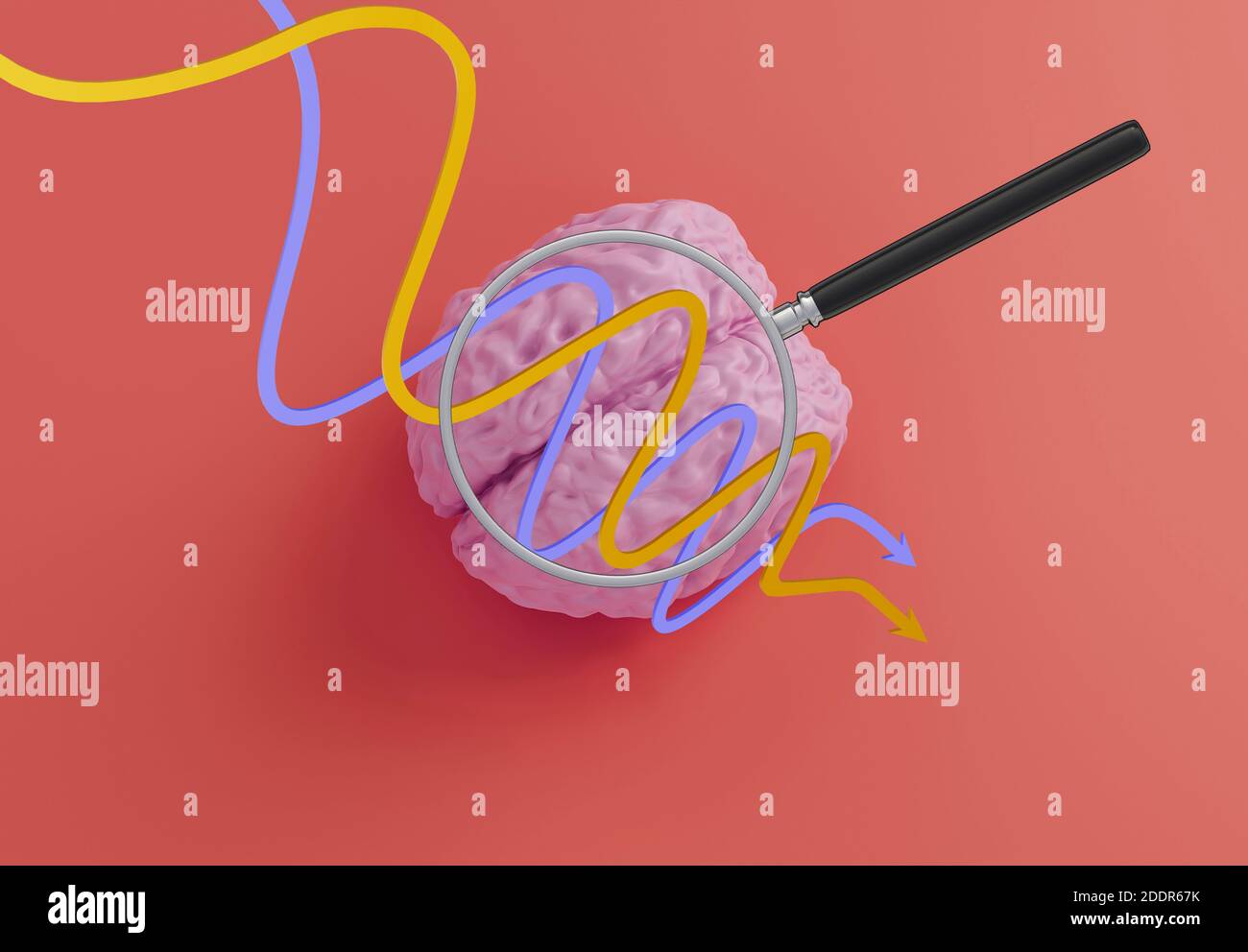 Human brain model and curved arrows and magnifier glass on red ...