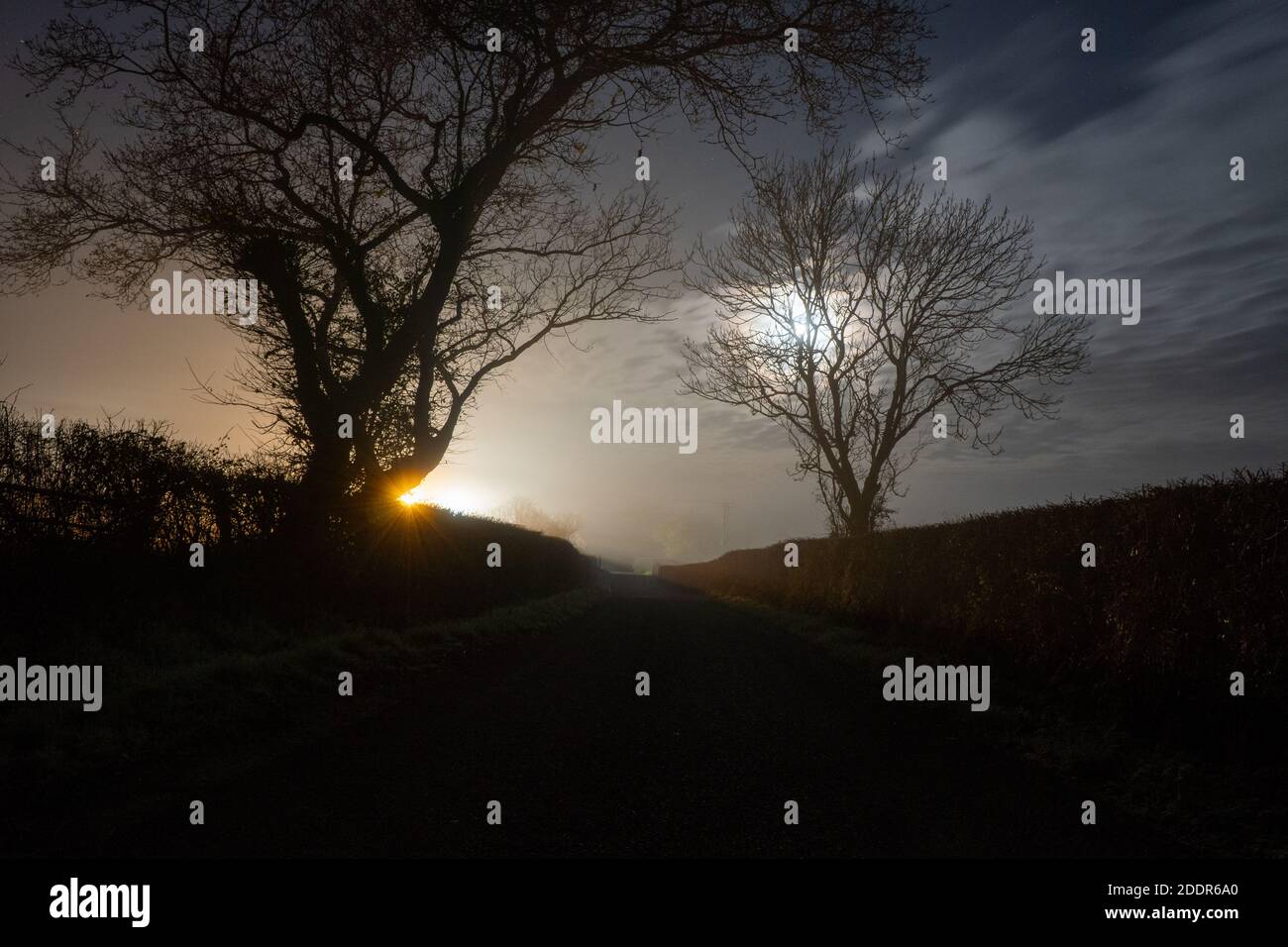 A spooky country lane with trees silhouetted against the moon. On a ...