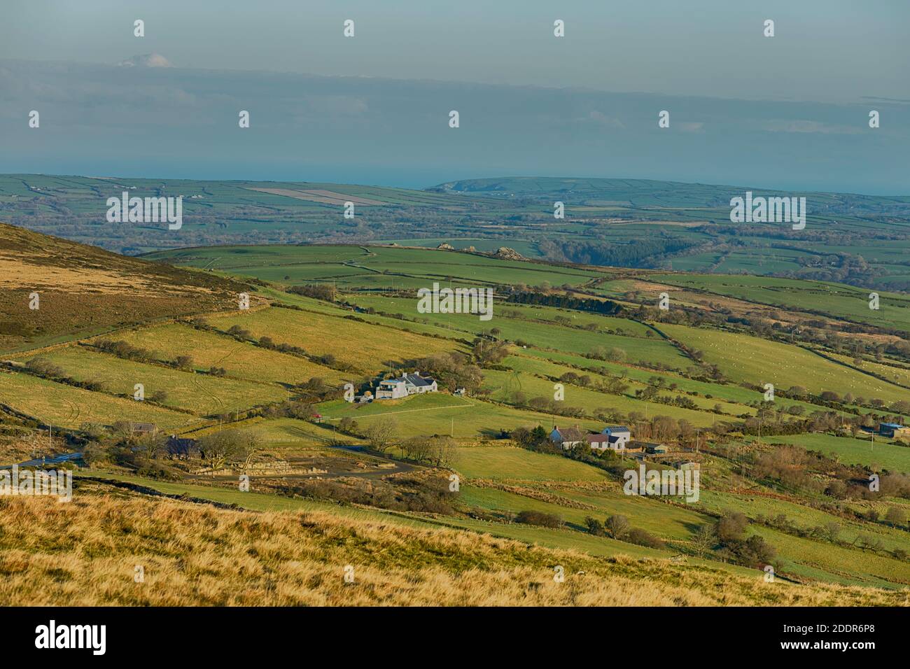 Preseli hills sheep hi-res stock photography and images - Alamy