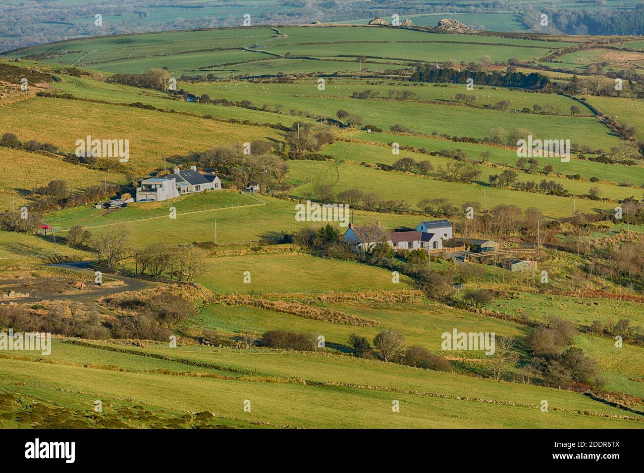 Preseli hills sheep hi-res stock photography and images - Alamy