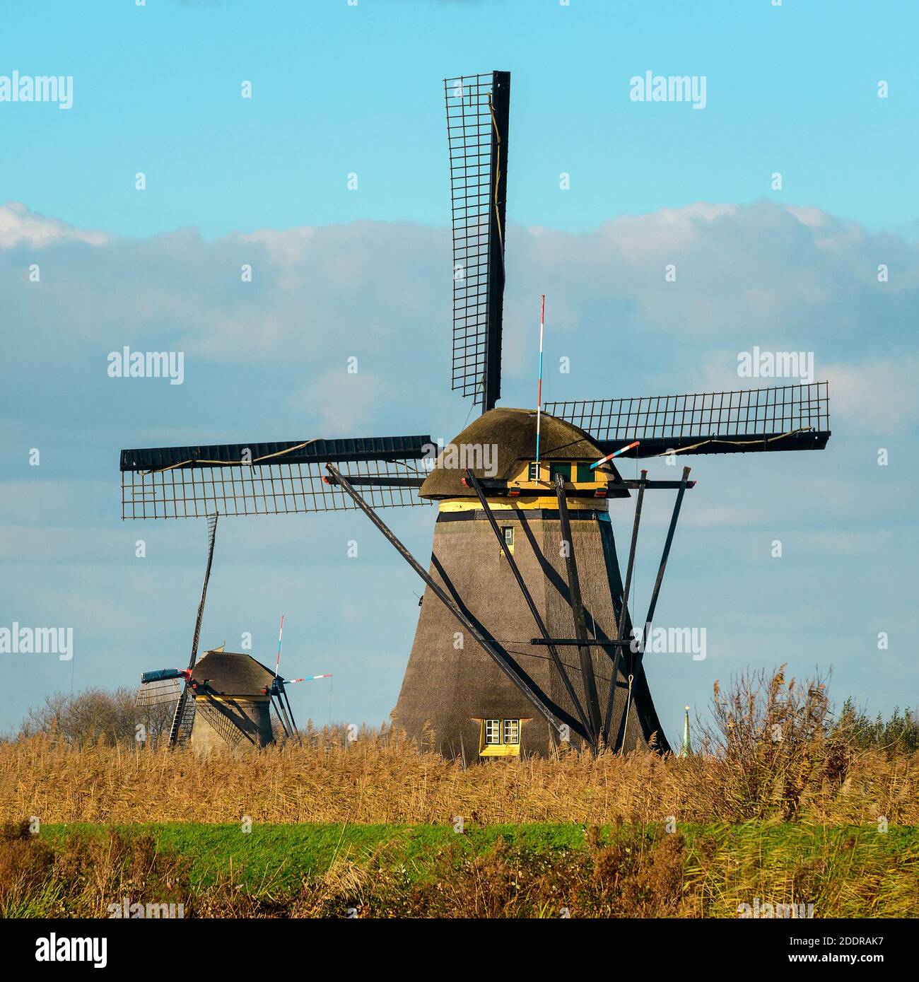 View of windmills in The Netherlands Stock Photo - Alamy