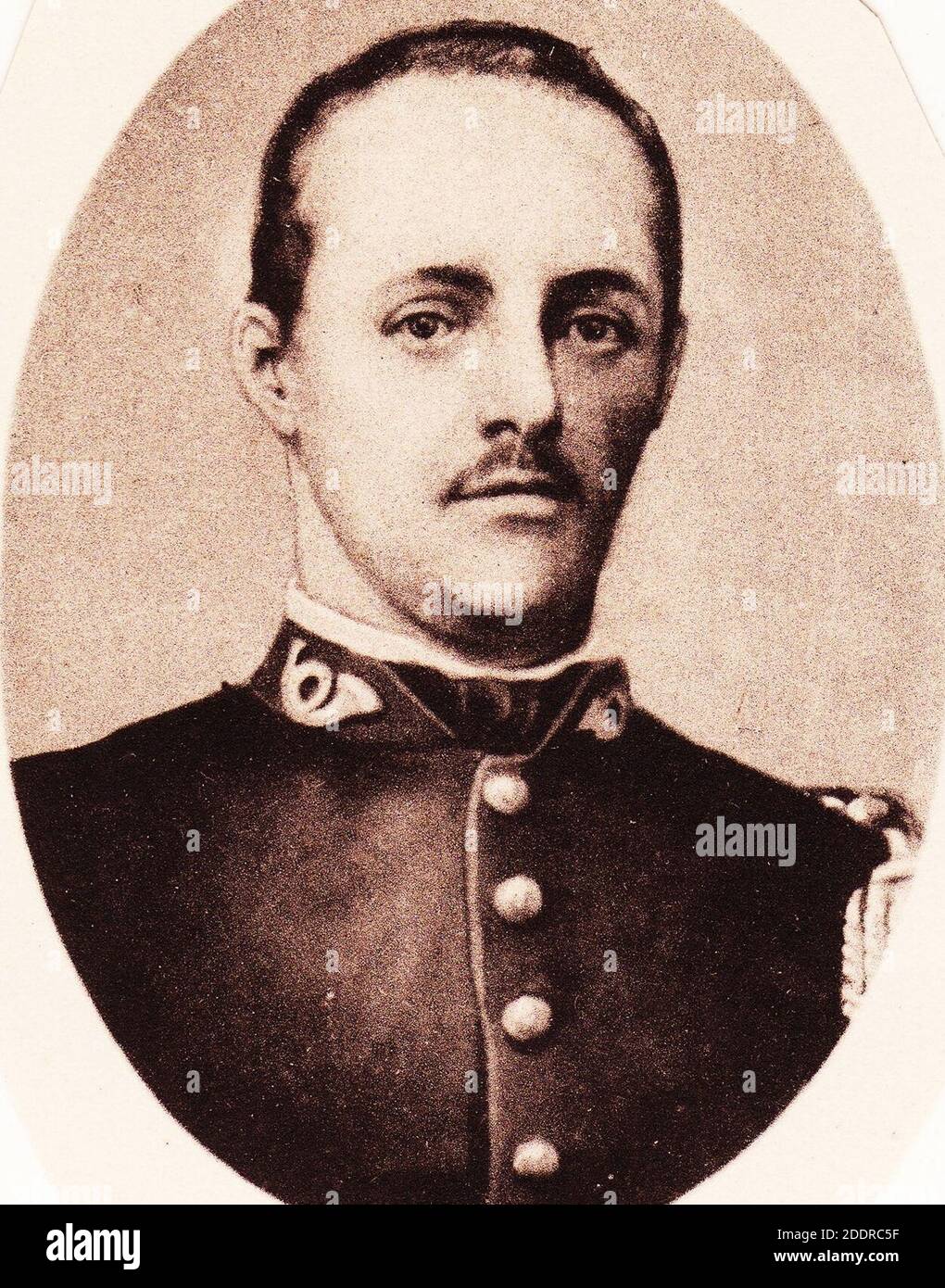 Koops hi-res stock photography and images - Alamy