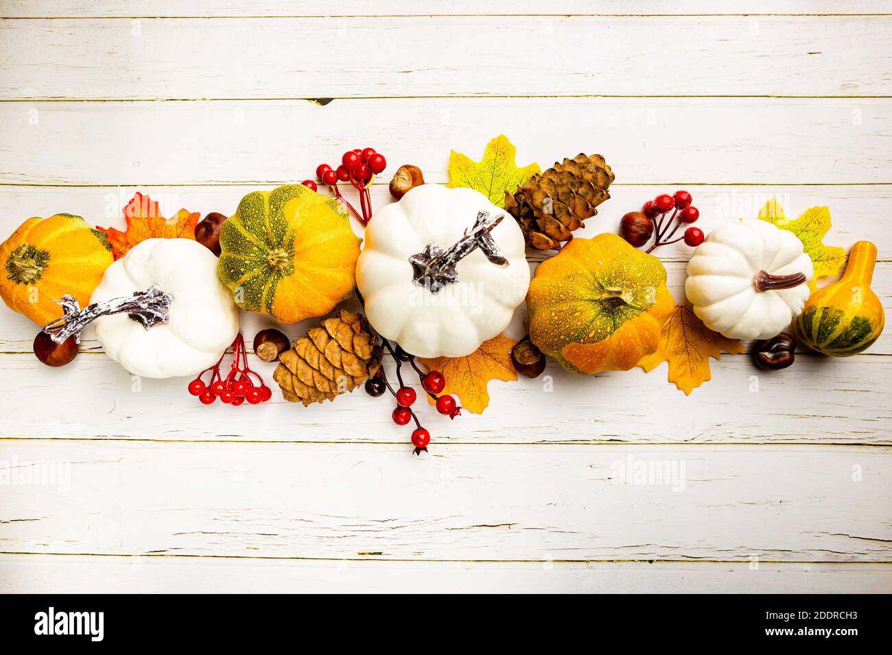 Autumn side border of white pumpkins and autumn leaves over a rustic ...