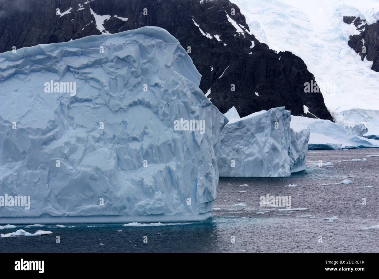 Iceberg in the bay on the Danco Coast in Antarctica Stock Photo - Alamy