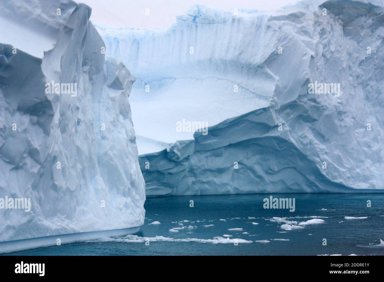 Iceberg in the bay on the Danco Coast in Antarctica Stock Photo - Alamy