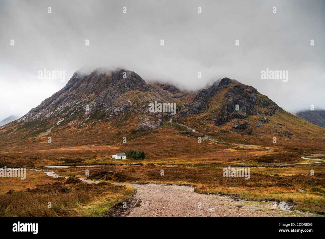 CALA Homes (East) Managing Director Craig Lynes Stock Photo - Alamy