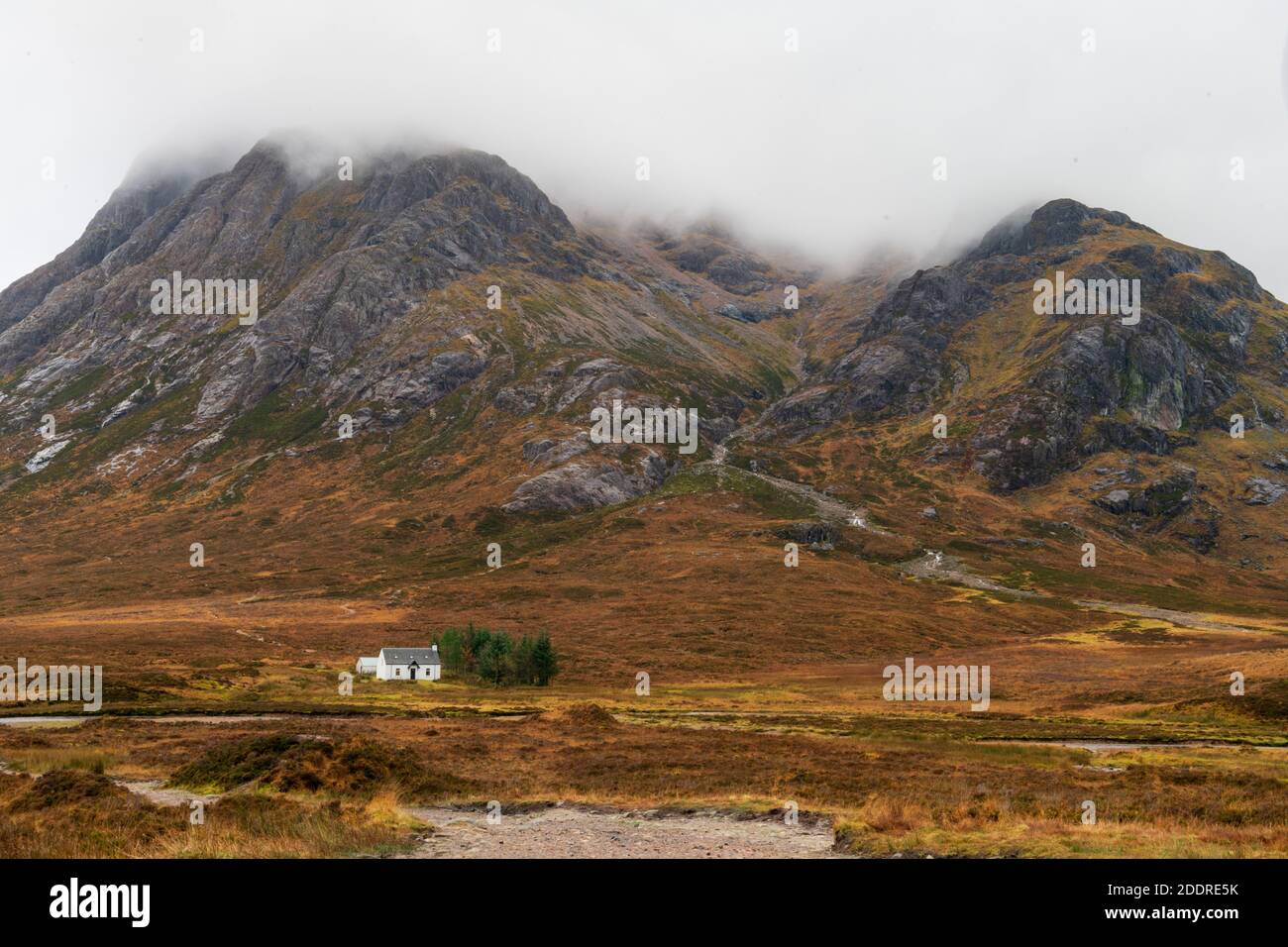 CALA Homes (East) Managing Director Craig Lynes Stock Photo - Alamy