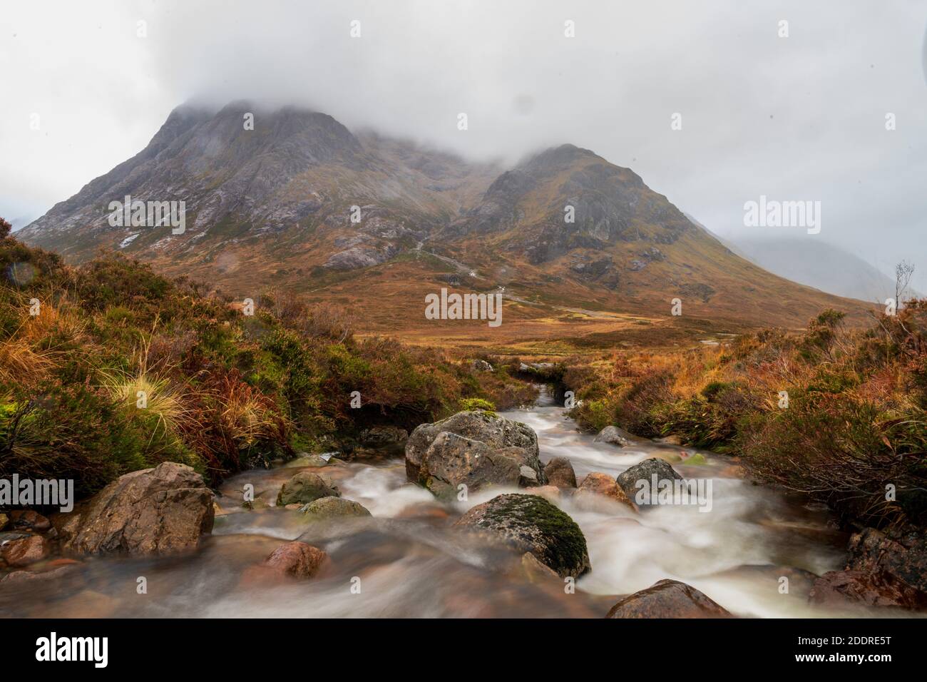 CALA Homes (East) Managing Director Craig Lynes Stock Photo - Alamy