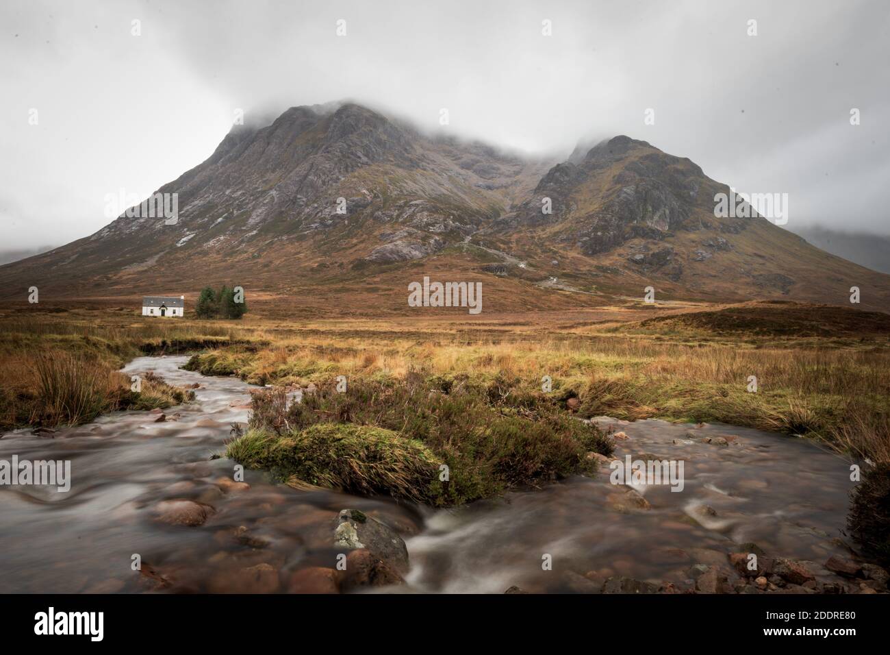 CALA Homes (East) Managing Director Craig Lynes Stock Photo - Alamy