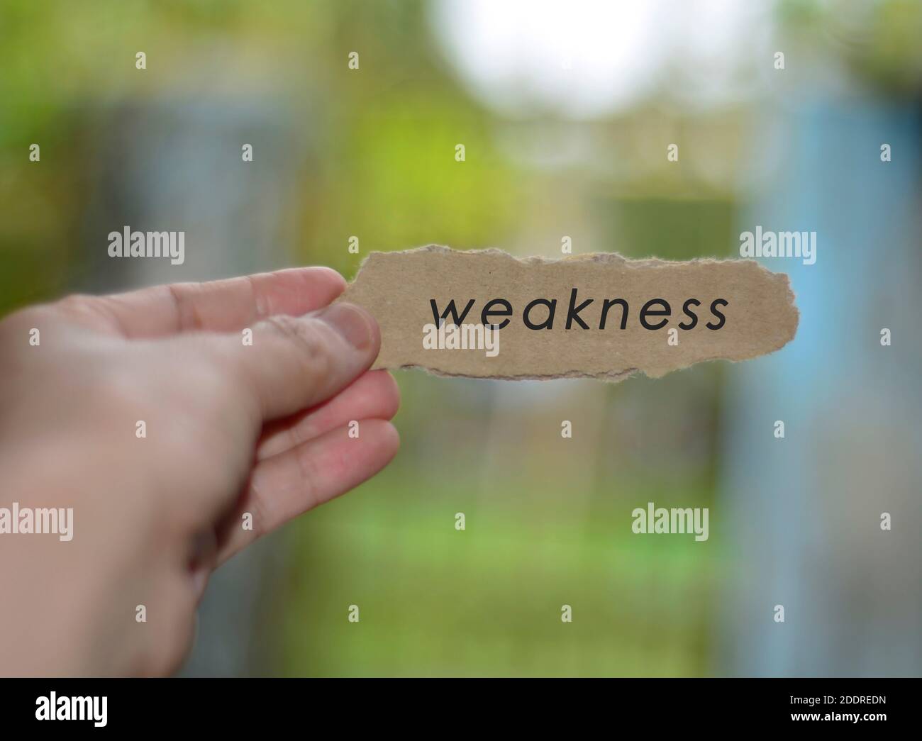 Hands Holding Torn paper with motivational quote and blurred green ...