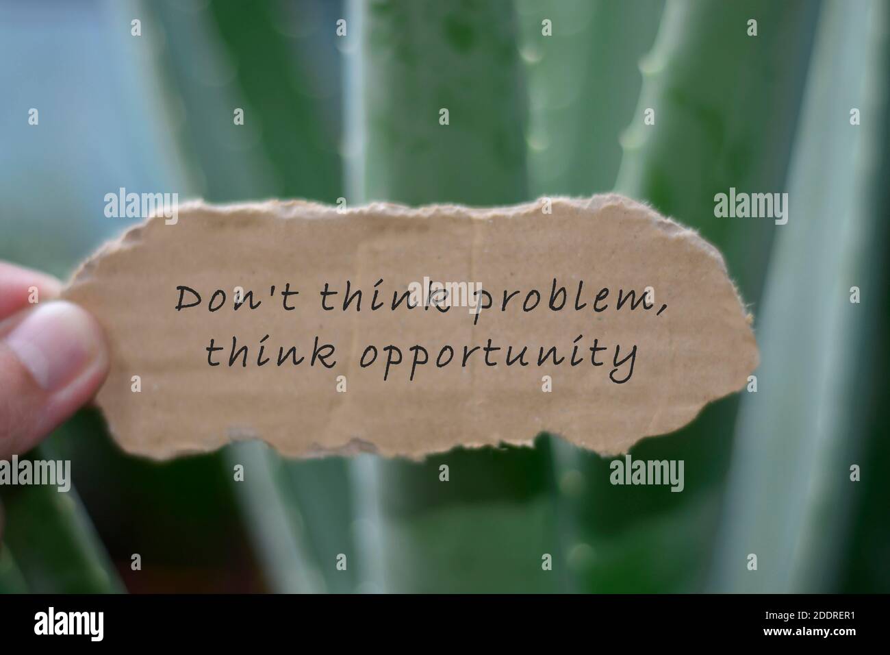 Hands Holding Torn paper with motivational quote and blurred green ...