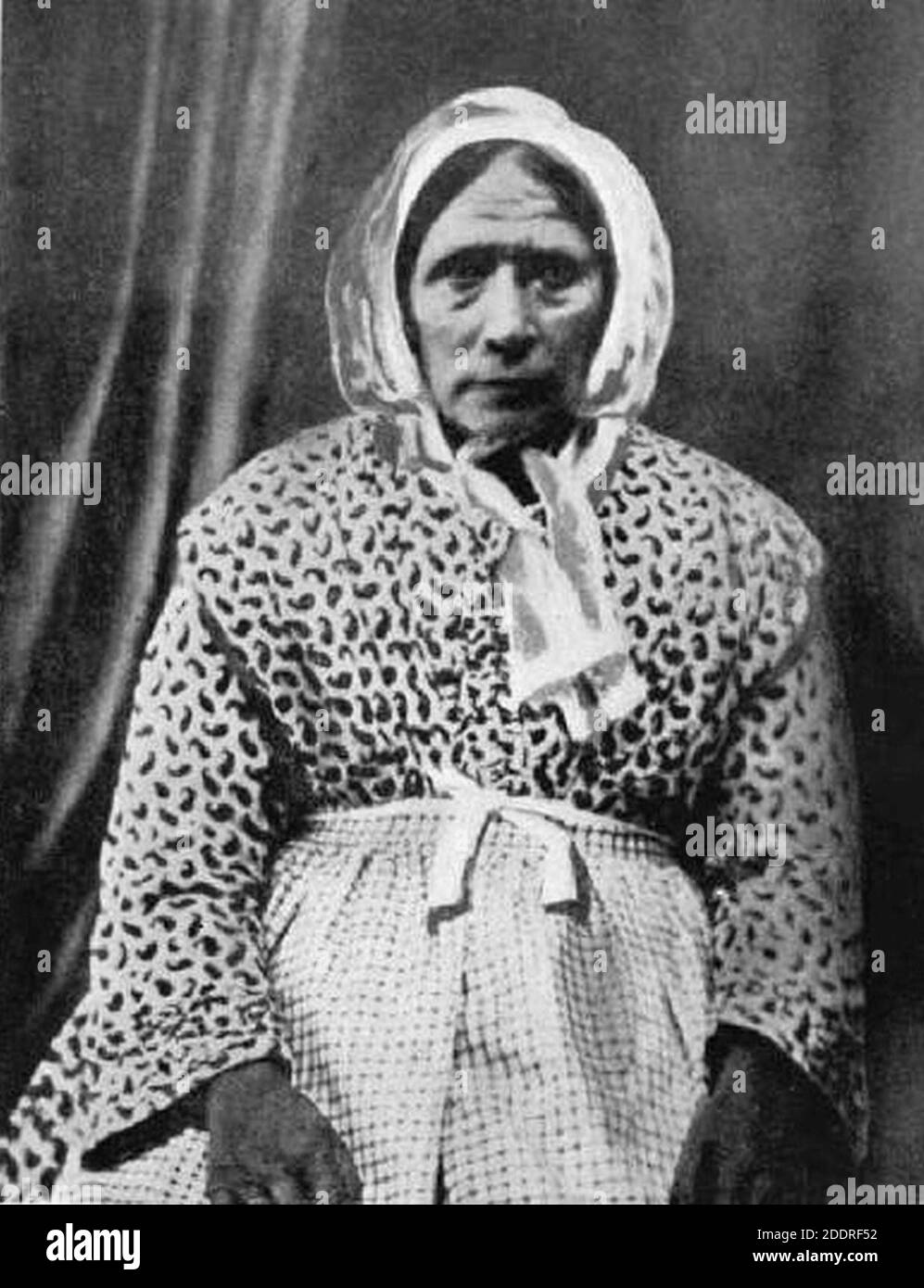 Kitty wilkinson hi-res stock photography and images - Alamy