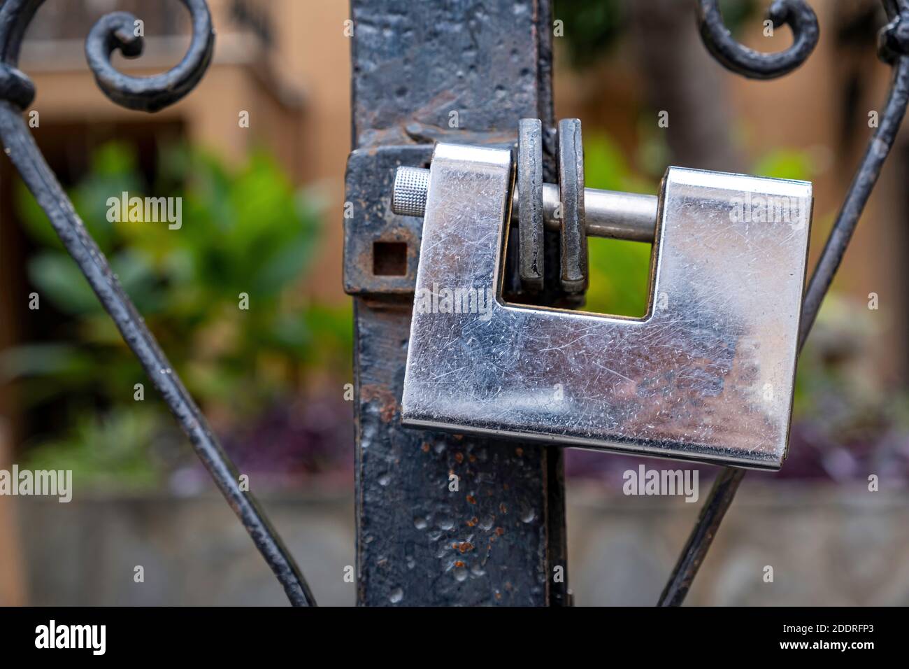 Heavy metal padlock closeup on a metal entrance gate, blur green ...