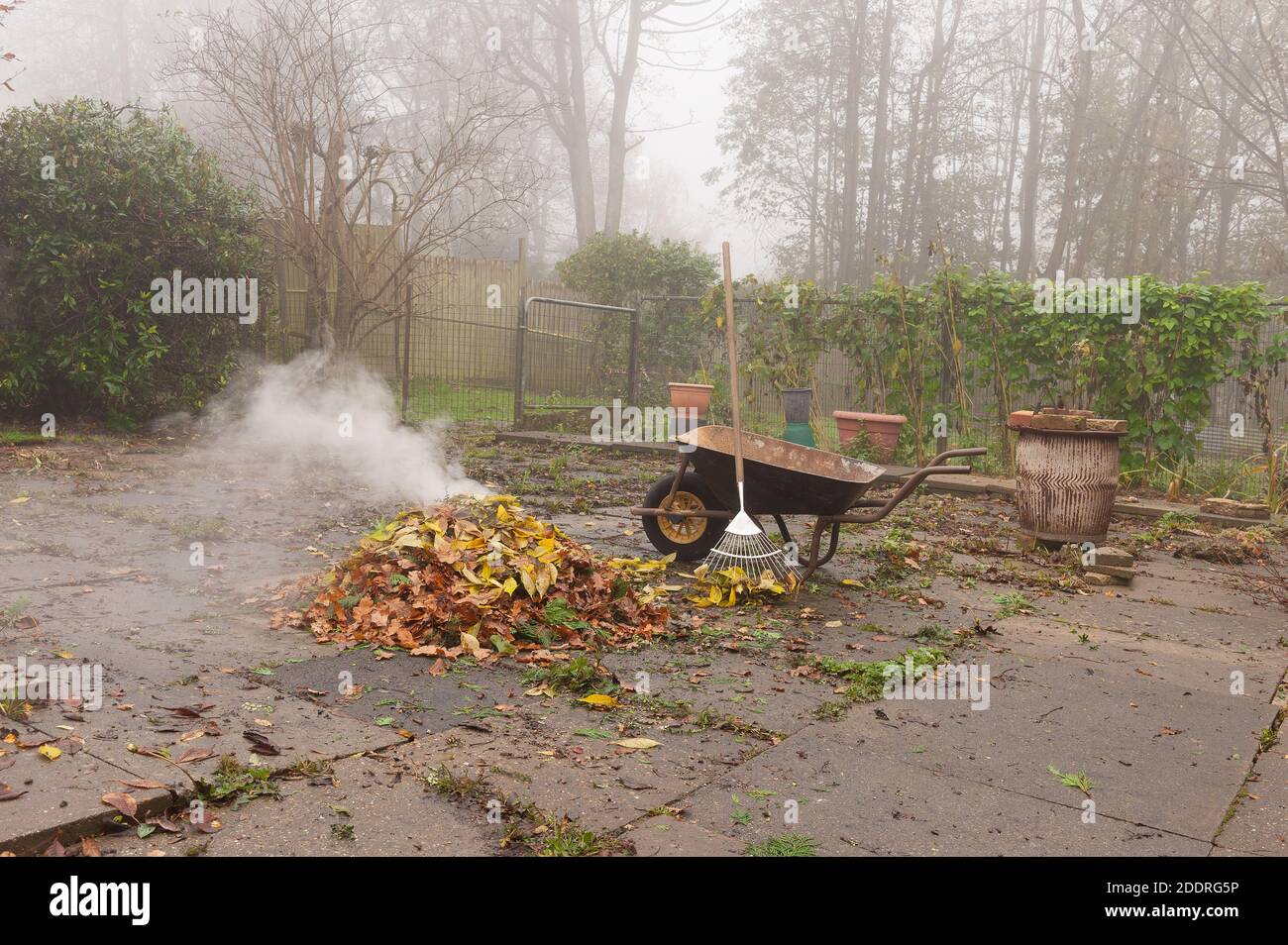Smoke from burning swept autumn leaves billows up into a damp overcast ...