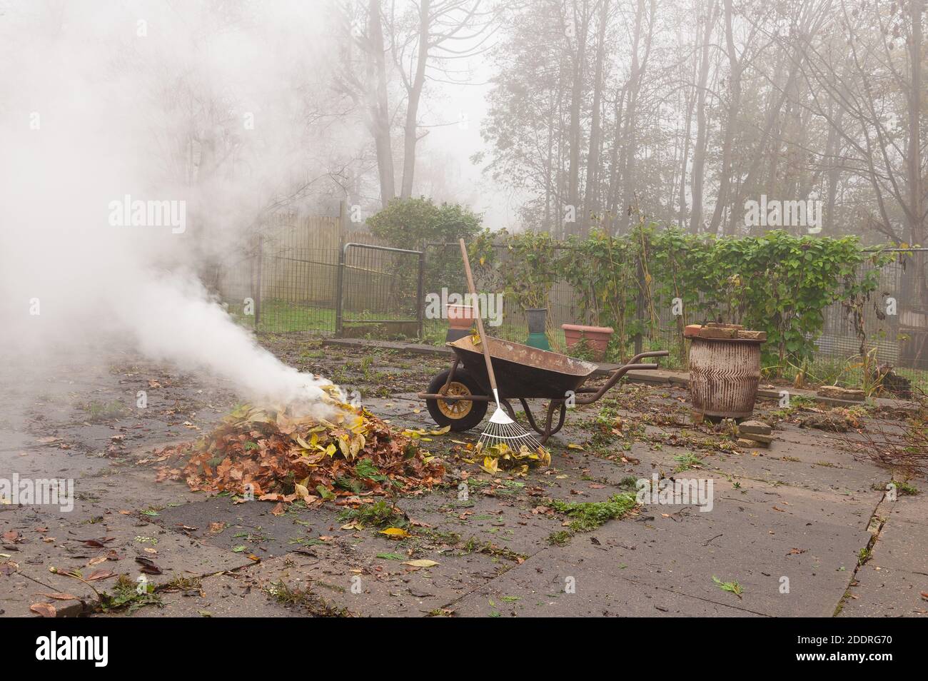 Smoke from burning swept autumn leaves billows up into a damp overcast ...