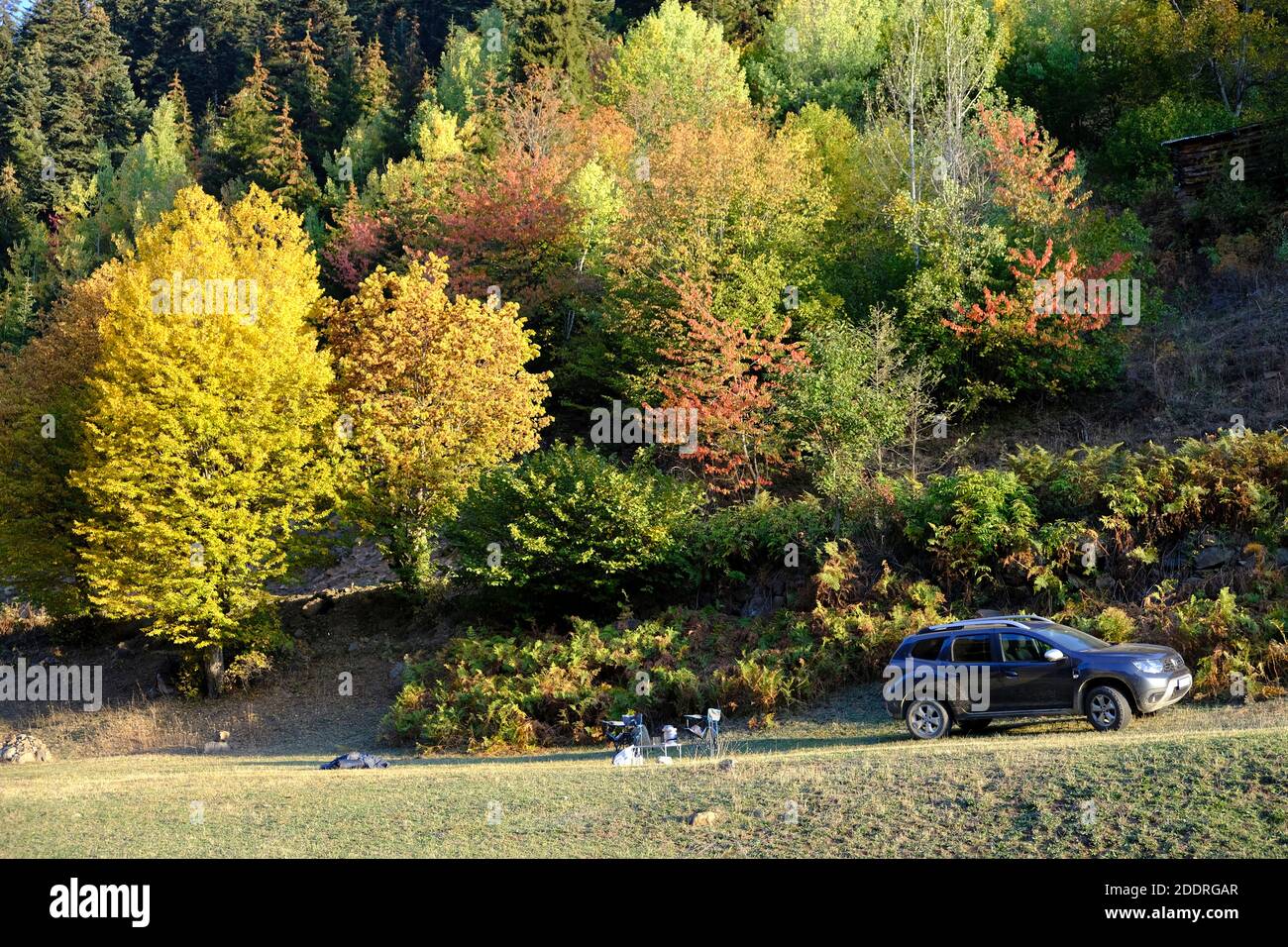 Dacia duster and fascinating autumn colors in the town of şavşat ...