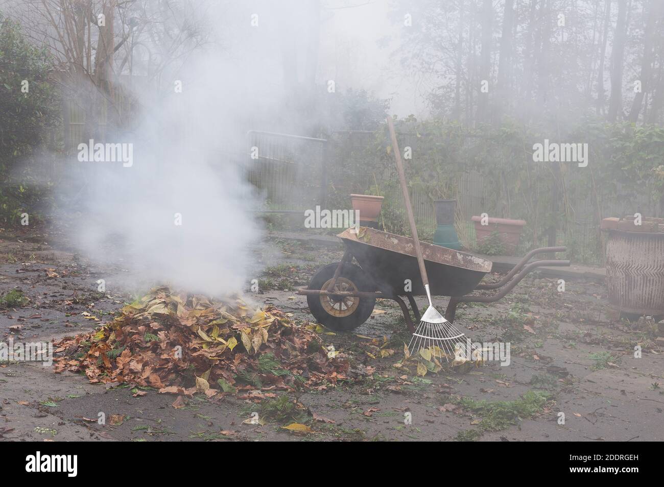 Smoke from burning swept autumn leaves billows up into a damp overcast ...