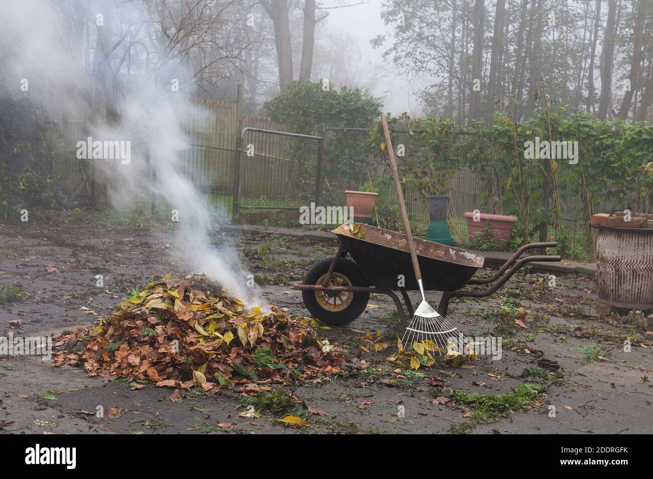 Smoke from burning swept autumn leaves billows up into a damp overcast ...