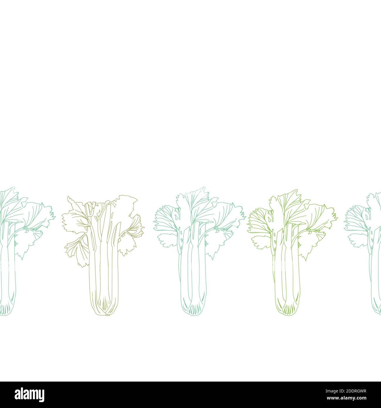 Modern Celery Seamless Vector Repeat Border. Botany Outline Vegetable ...