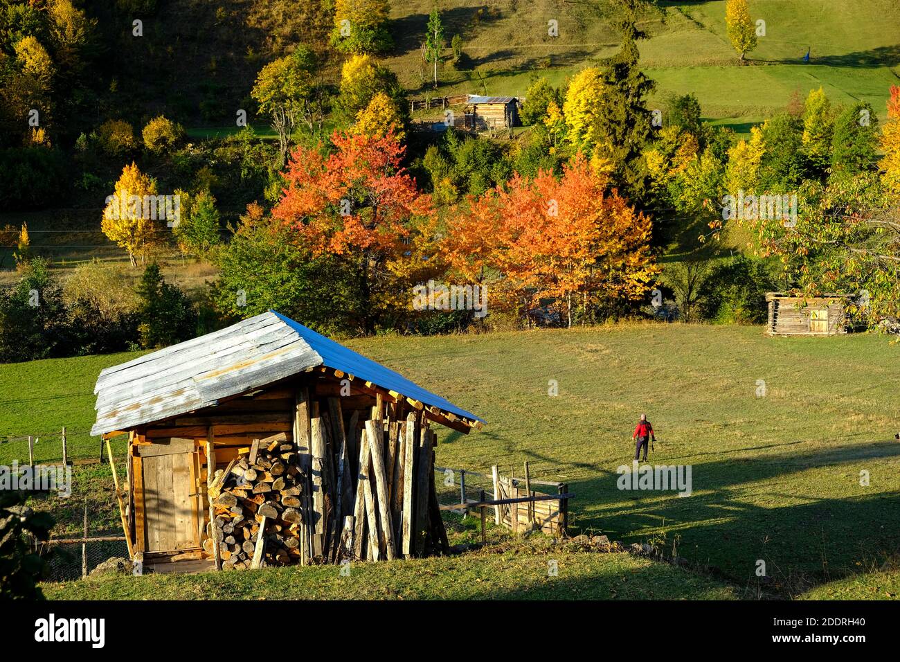 fascinating autumn colors in the town of şavşat Meydancık district of ...