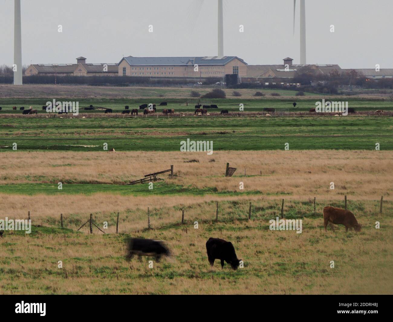 Sheppey prison cluster hi-res stock photography and images - Alamy