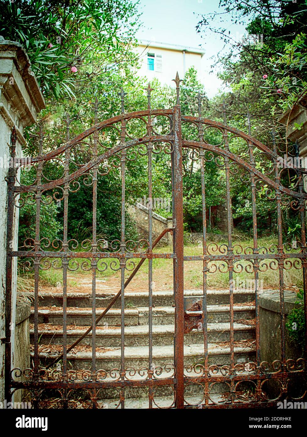 Frontal rusty iron gate of an abandoned house surrounded by overgrown ...