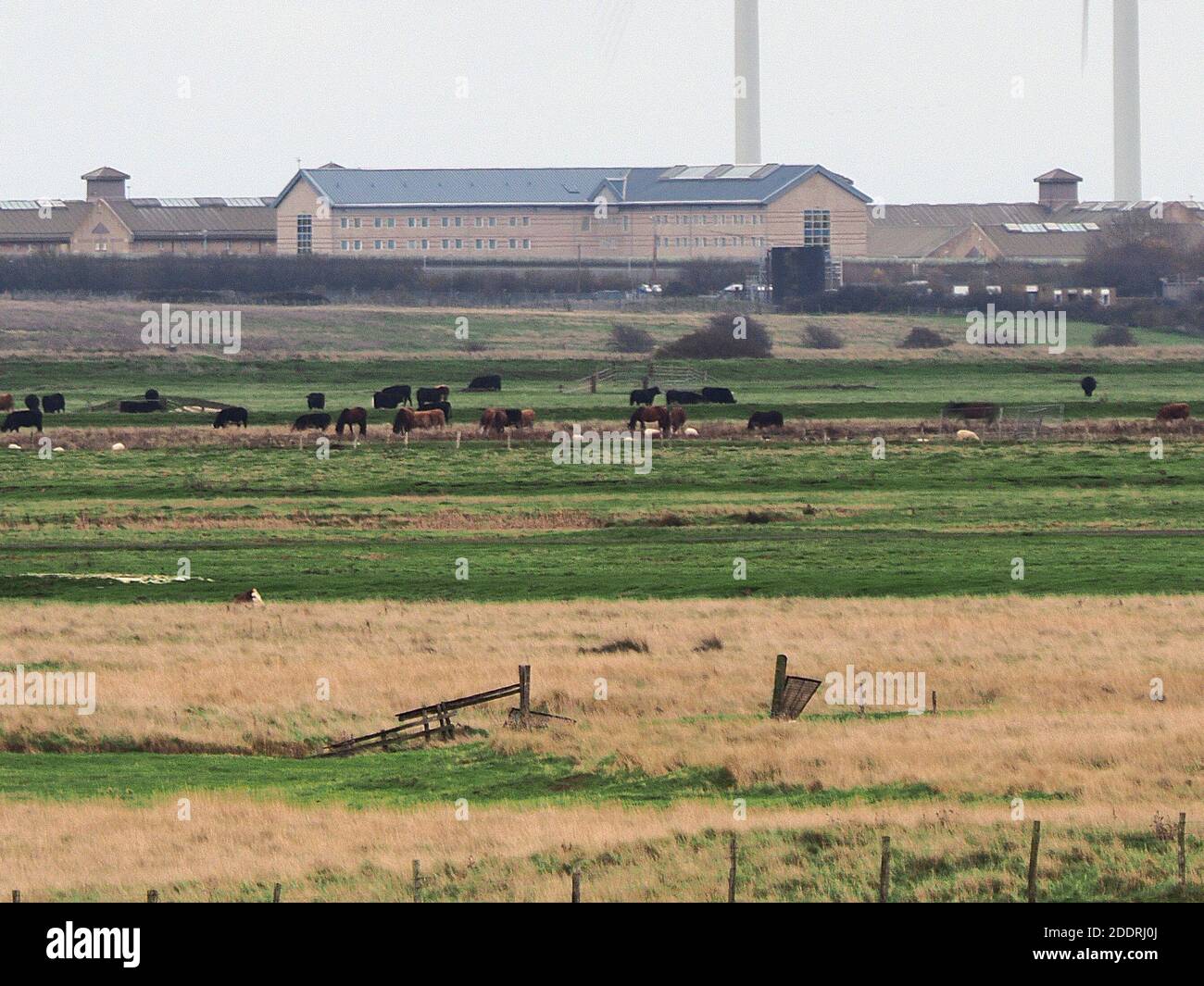 Sheppey prison cluster hi-res stock photography and images - Alamy