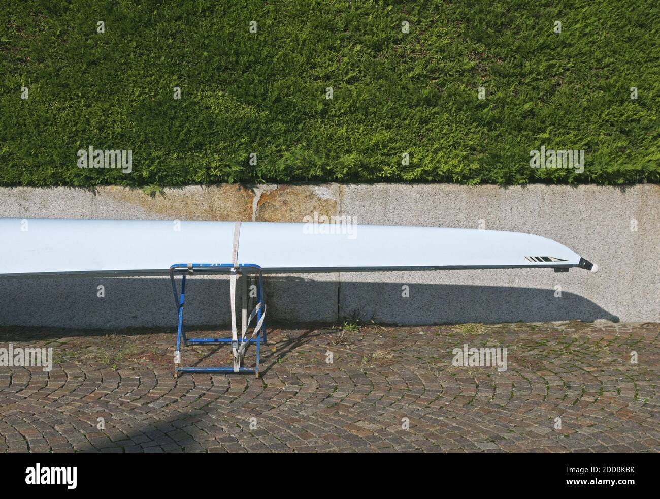 racing rowing shell boat stored at side of a shrub fence Stock Photo ...