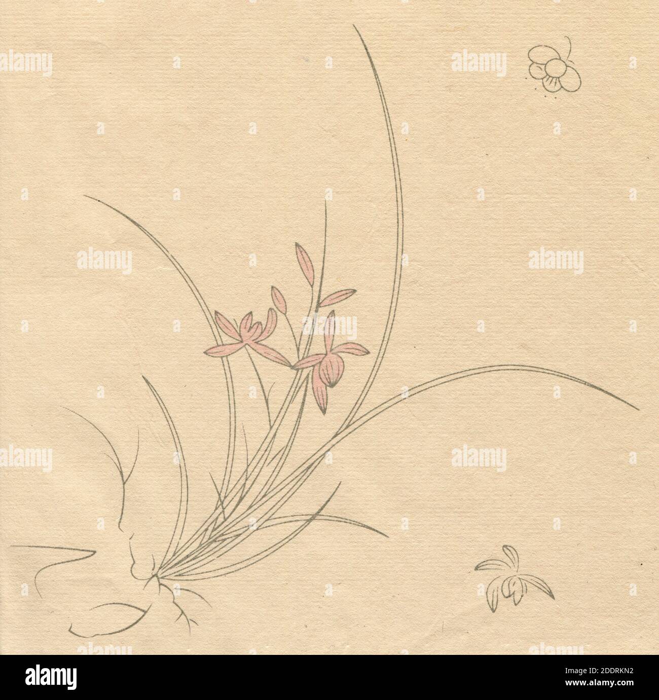 Chinese rice paper Stock Photo - Alamy