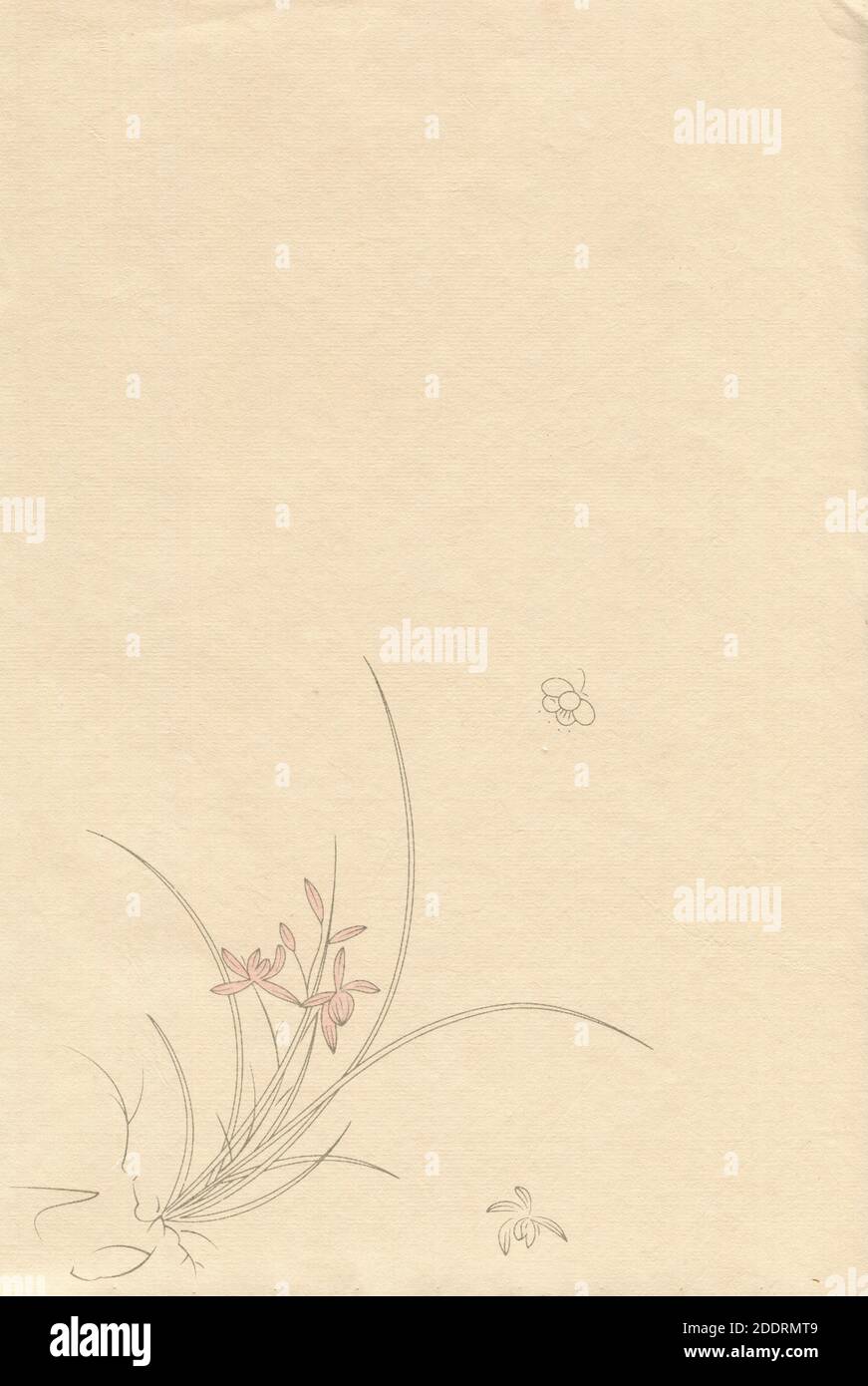 Chinese rice paper Stock Photo - Alamy