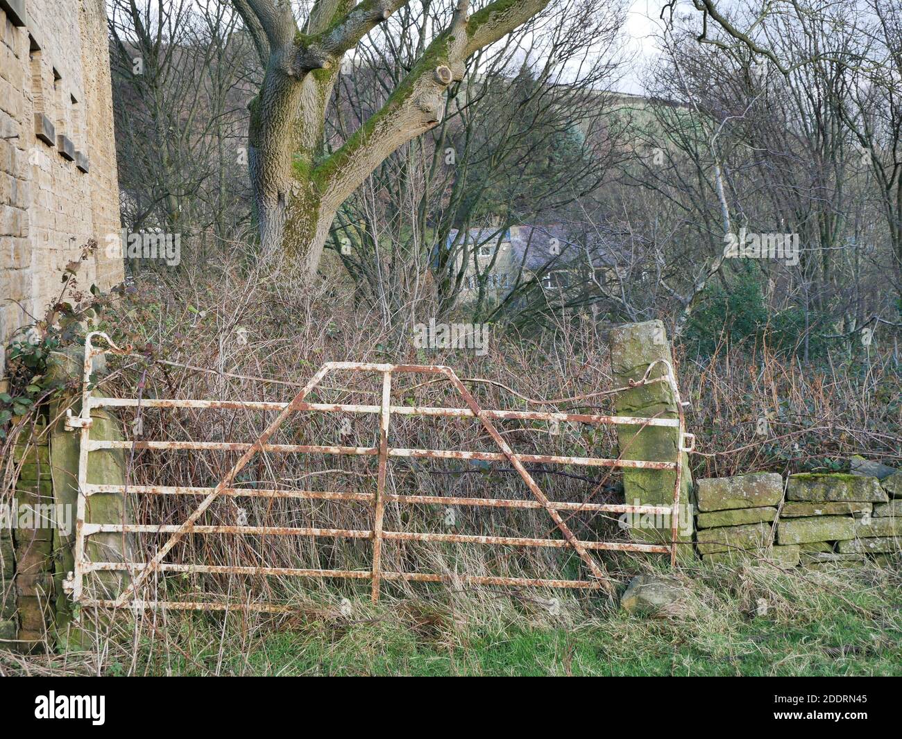 Rusty old white metal farm field gate with stone gateposts overgrown ...