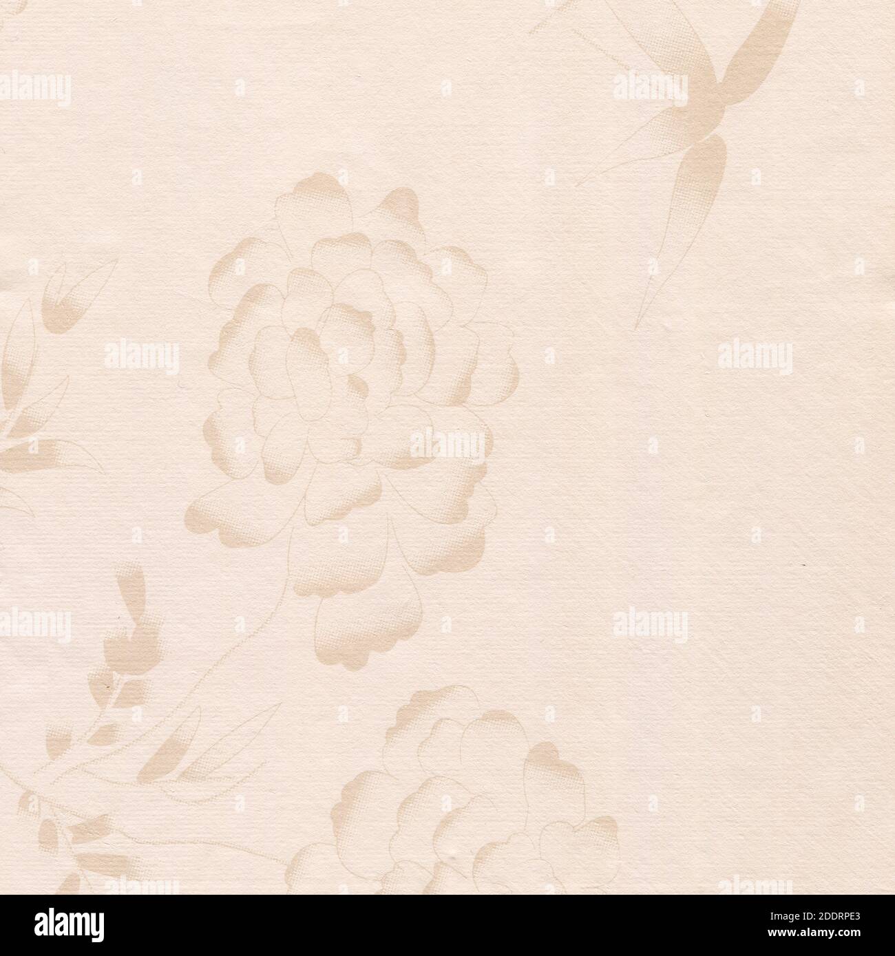 Chinese rice paper Stock Photo - Alamy