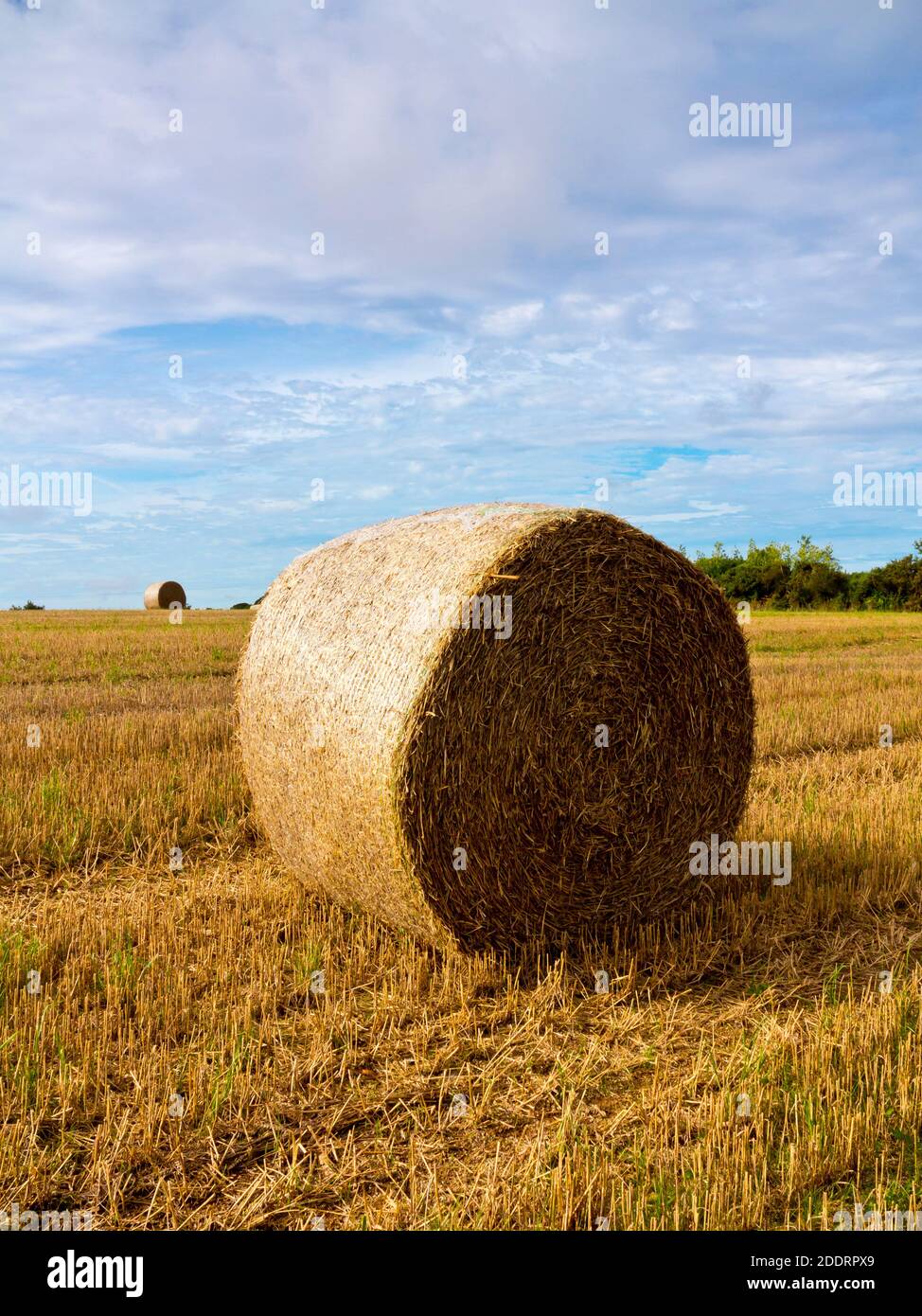 Circular hay hi-res stock photography and images - Alamy