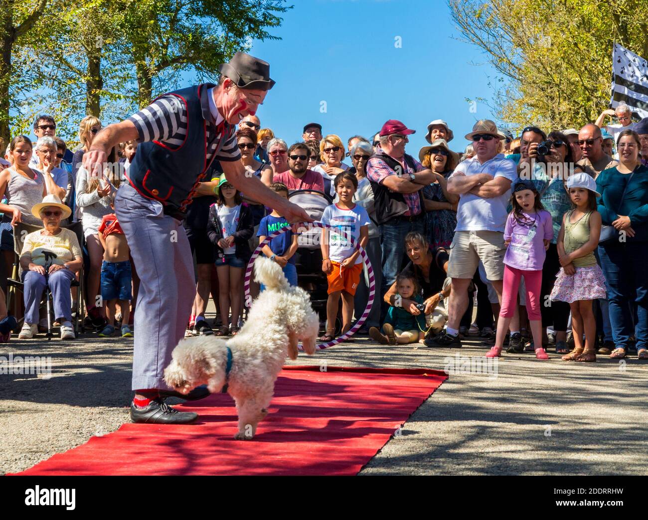 Dog Clown High Resolution Stock Photography and Images - Alamy