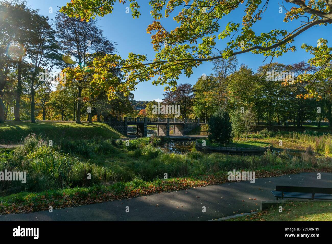 Looking across to bridge crossing the ponds Stock Photo - Alamy