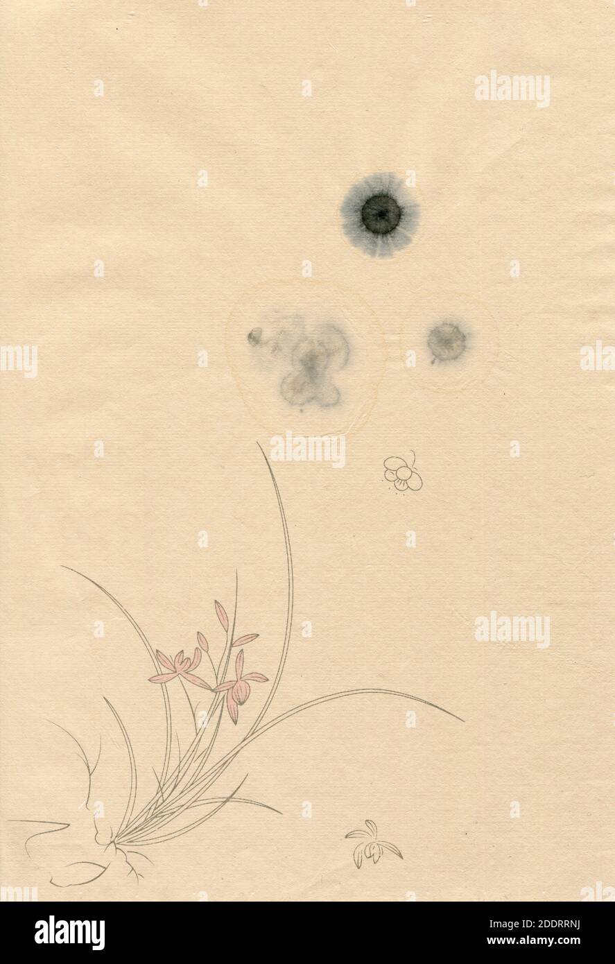 Chinese rice paper Stock Photo - Alamy