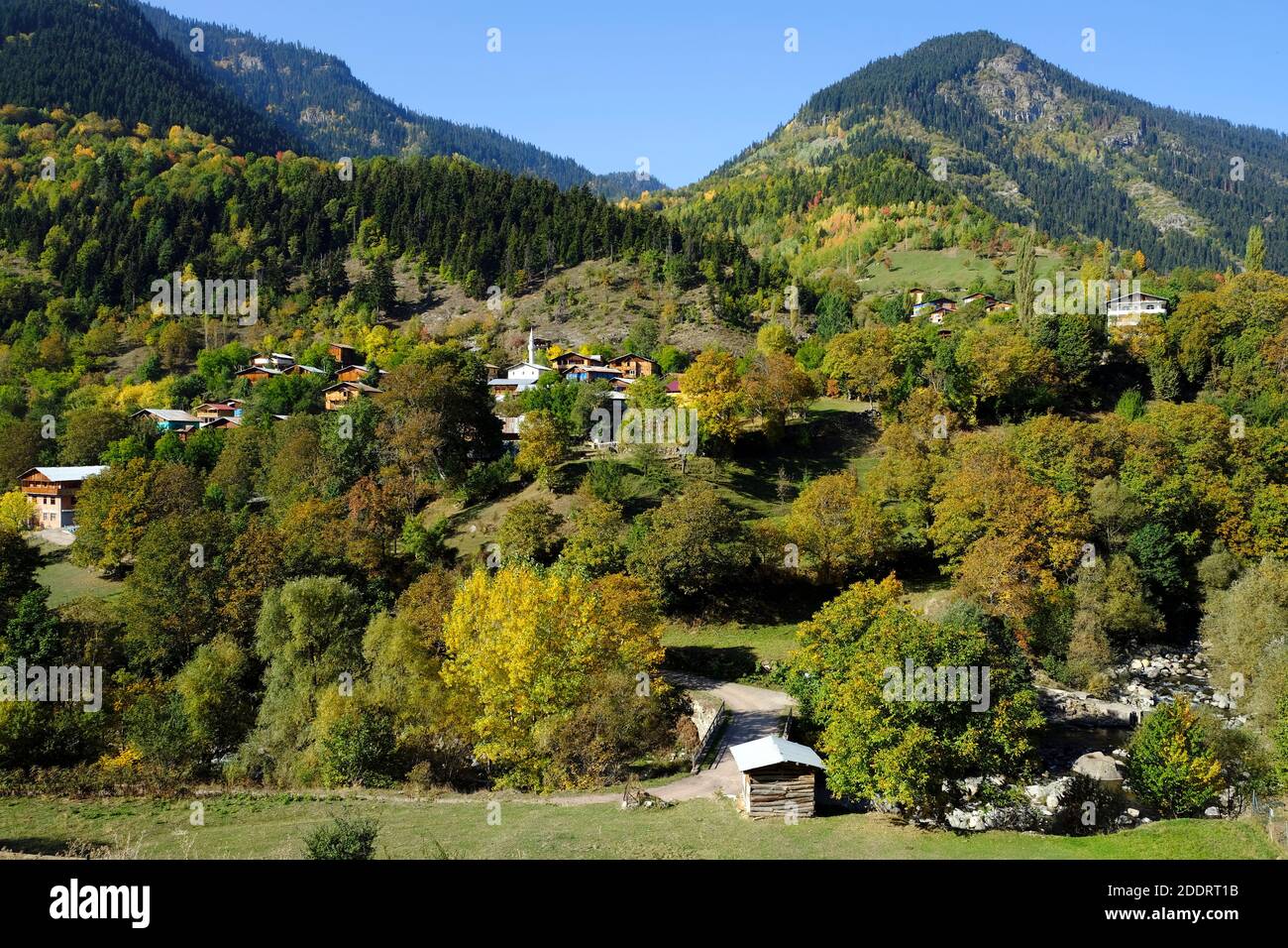 fascinating autumn colors in the town of şavşat Meydancık district of ...
