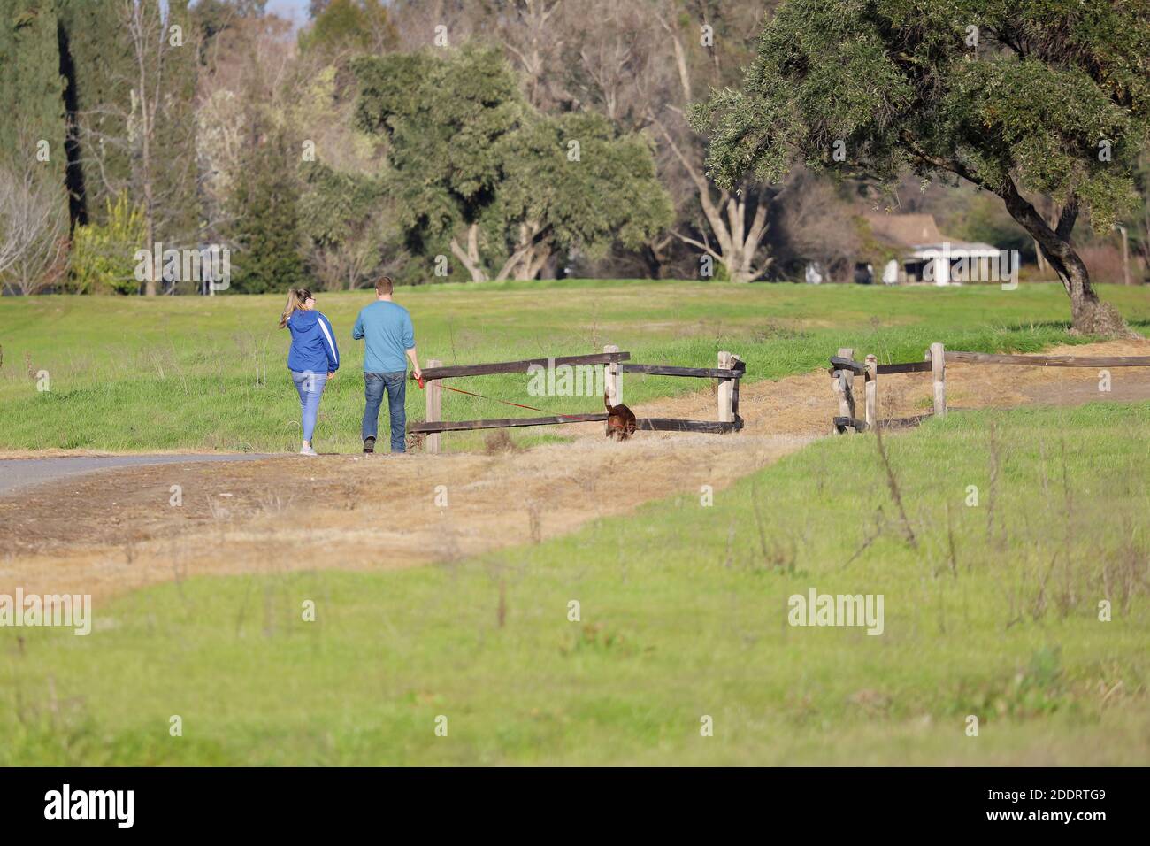 Couple walking their dog over a small bridge in a park Stock Photo - Alamy