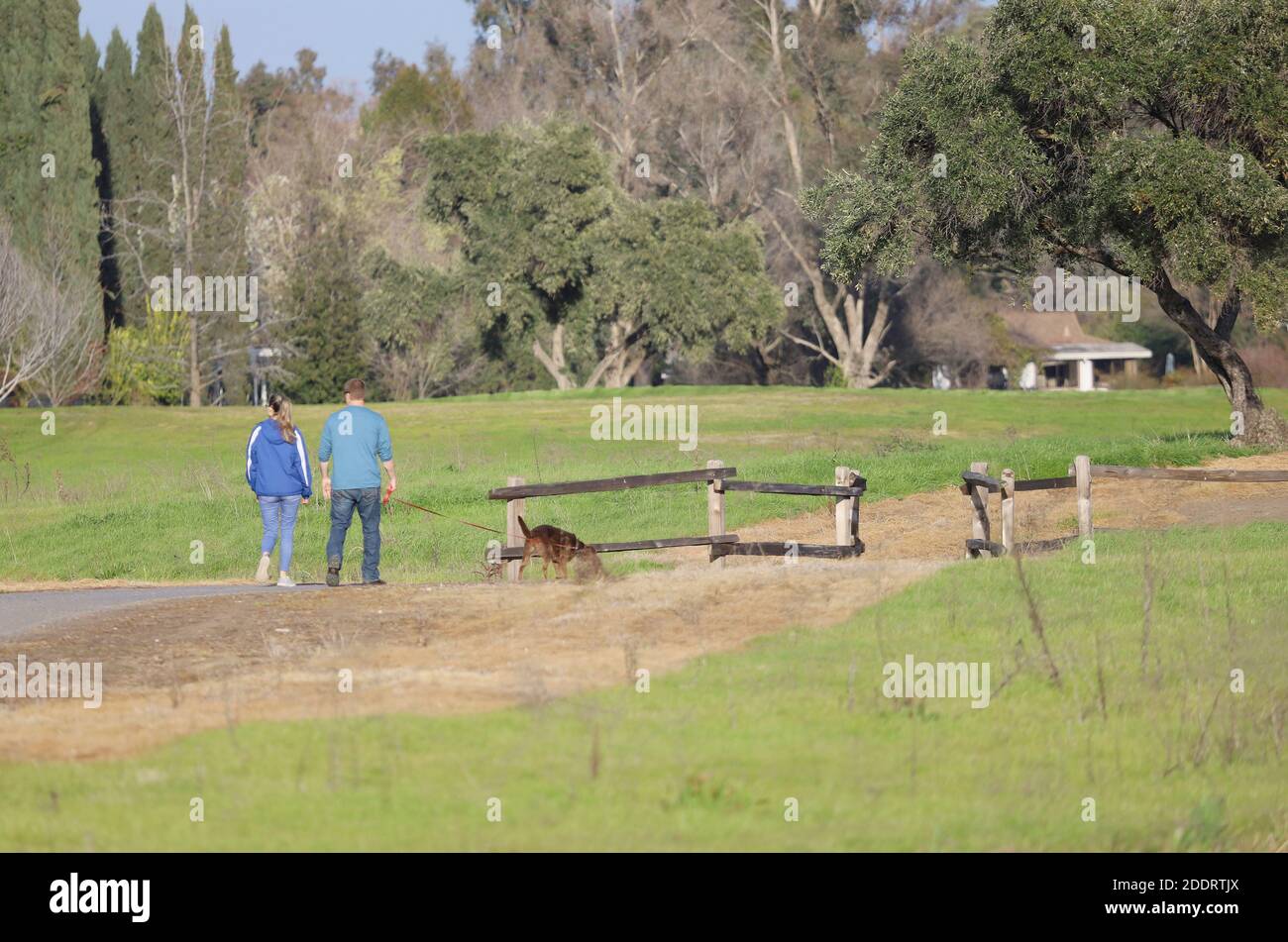 Walking over puppy hi-res stock photography and images - Alamy