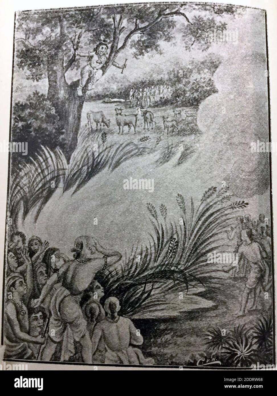 Krishna saved his colleagues by devouring the Forest Fire Stock Photo ...